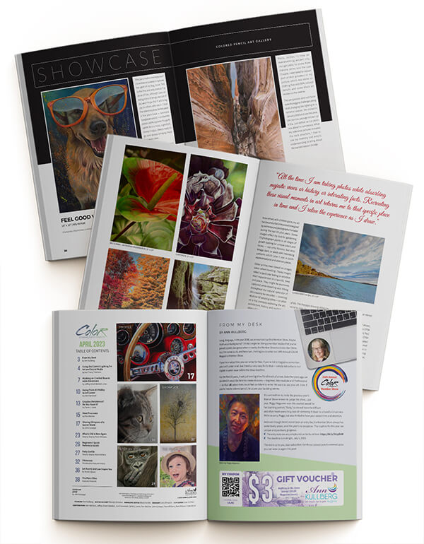 COLOR 2023 Entire year of issues - COLOR Magazine Collection Book ...