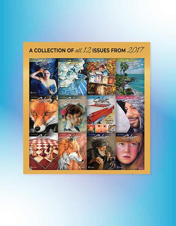 COLOR 2017: Entire year of issues - COLOR Magazine Collection Book ...