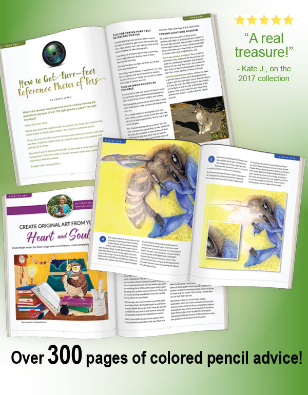 COLOR 2018: Entire year of issues - COLOR Magazine Collection Book ...