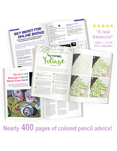 COLOR 2019: Entire year of issues - COLOR Magazine Collection Book ...