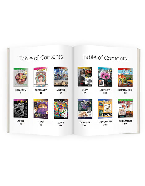 COLOR 2019: Entire year of issues - COLOR Magazine Collection Book ...