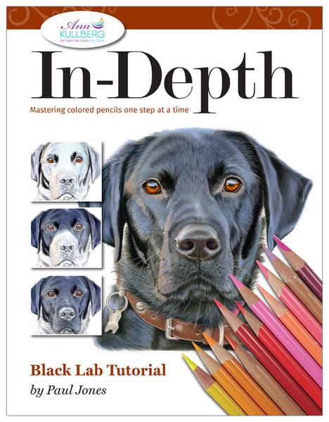 Black Lab In-Depth Colored Pencil Tutorial | annkullberg.com
