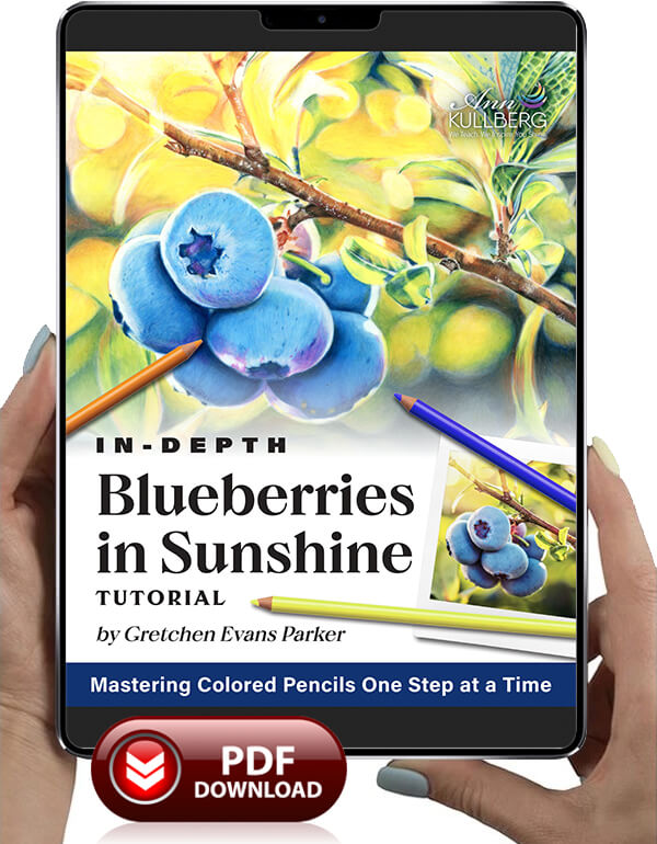 Blueberries in Sunshine Colored Pencil Project Kit | annkullberg.com