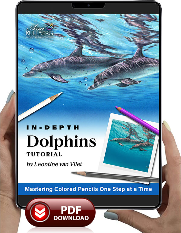 Dolphins In-Depth Colored Pencil Project Kit | annkullberg.com