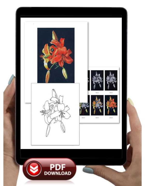 Day Lily Colored Pencil Digital Download Project | annkullberg.com