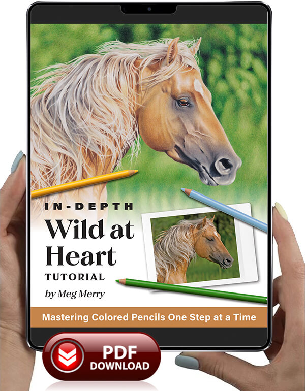 Wild at Heart In-Depth Colored Pencil Project Kit | annkullberg.com